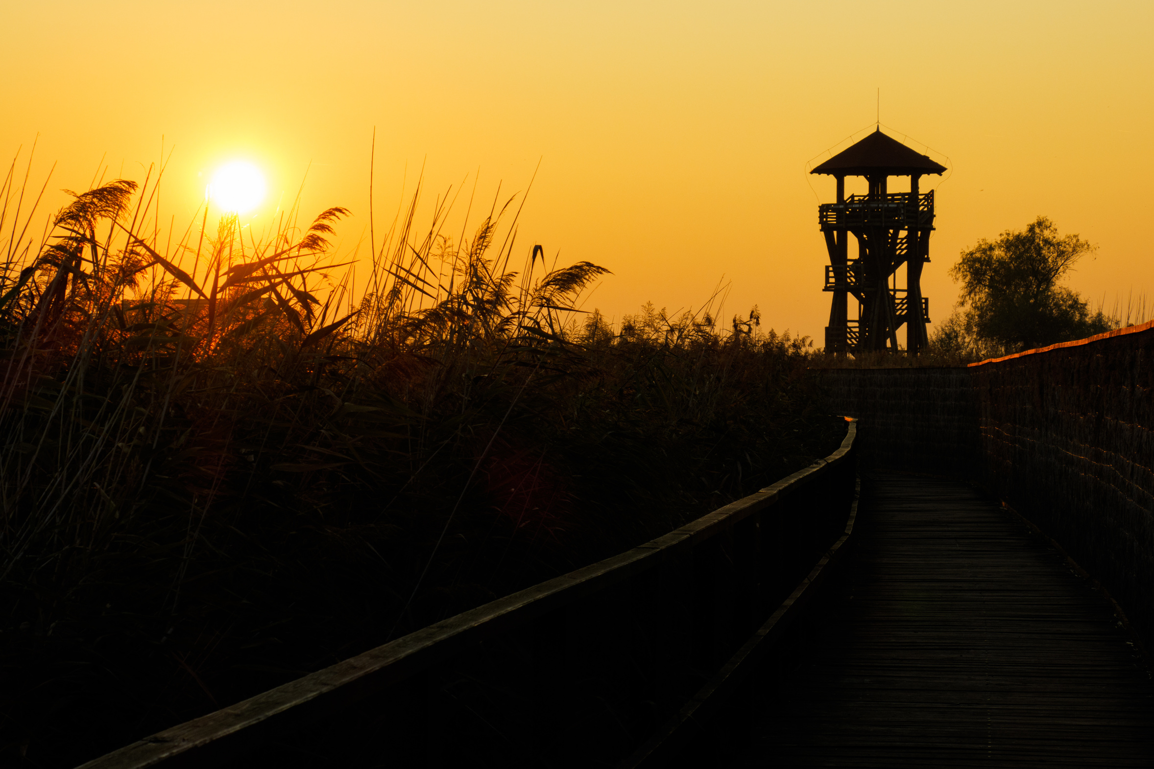 Túrkeve :: SMR Automotive